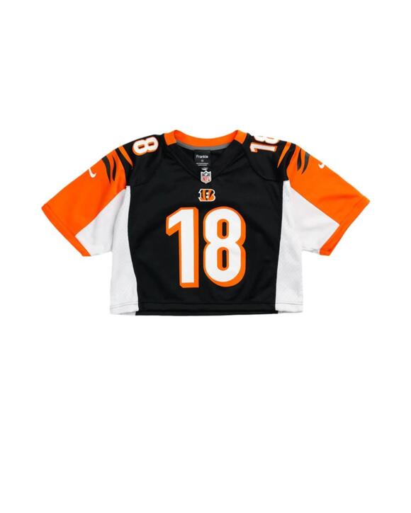 NFL Stadiums Reimagined by AI Go Viral on Social Media: See the Wild ...