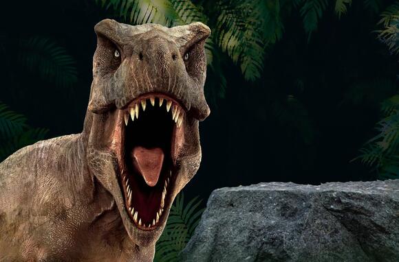 Could a T. rex Really Run? Why Speed Is a Big Dino Debate - NewsBreak