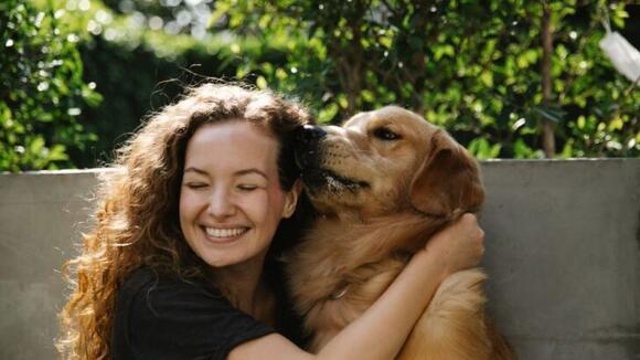 10 Dog Breeds That Bond Well With Humans The Most - NewsBreak