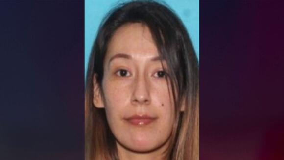 Minnesota mother accused of stabbing her two young sons and setting ...