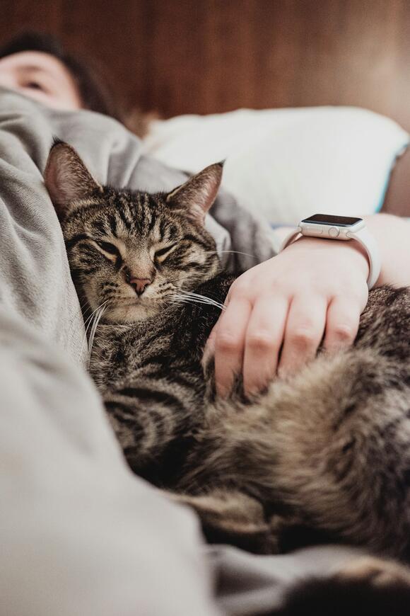 7 Signs Your Cat Thinks of You as Their Guardian - NewsBreak