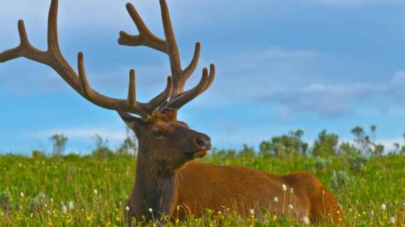 11 Most Dangerous National Parks in the US - NewsBreak