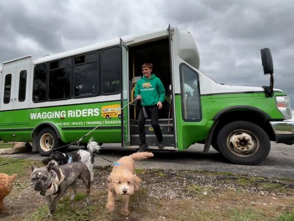 Bus-ling Tails: Byron Center mother-son duo drives dog bus to success ...