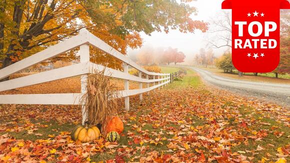 Where to See the Best Fall Colors in All of Upstate New York - NewsBreak