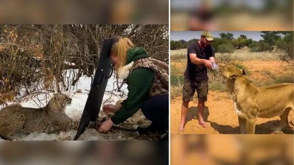 Animals Reaching Out for Help and Kindness Caught on Film - NewsBreak