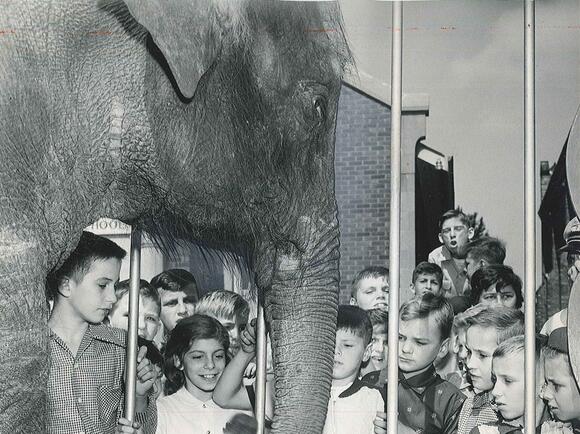 Monday Memories: Blade’s safety elephant helped kids remember the rules ...