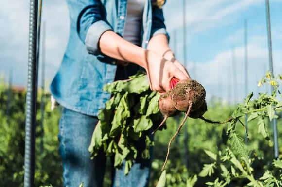 20 Vertical Farms Growing Food in City Centers - NewsBreak