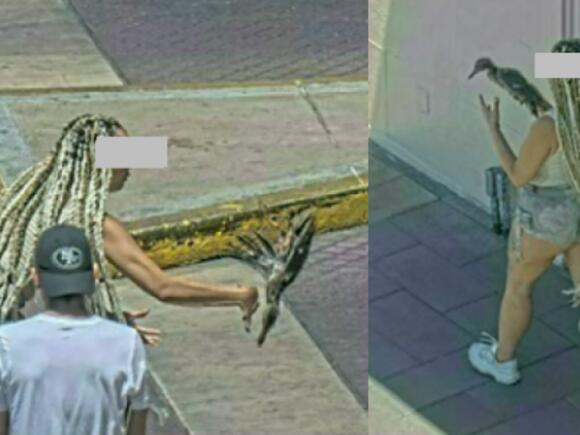 LVMPD: Woman facing charges for grabbing, hurting duck from Venetian ...
