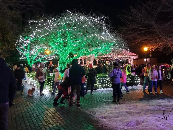 Seattle's Top Holiday Light Displays To Brighten Your Season - NewsBreak