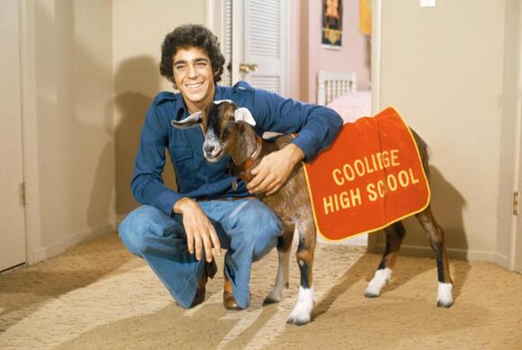 21 Rare ‘The Brady Bunch’ Behind-the-Scenes Photos Reveal the Cast in ...