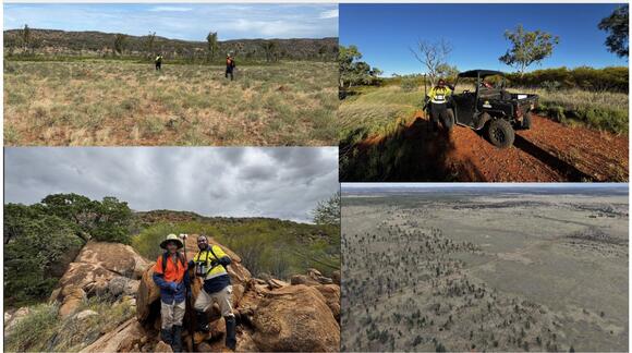 Coppermoly launches Cloncurry exploration work targeting copper-gold ...