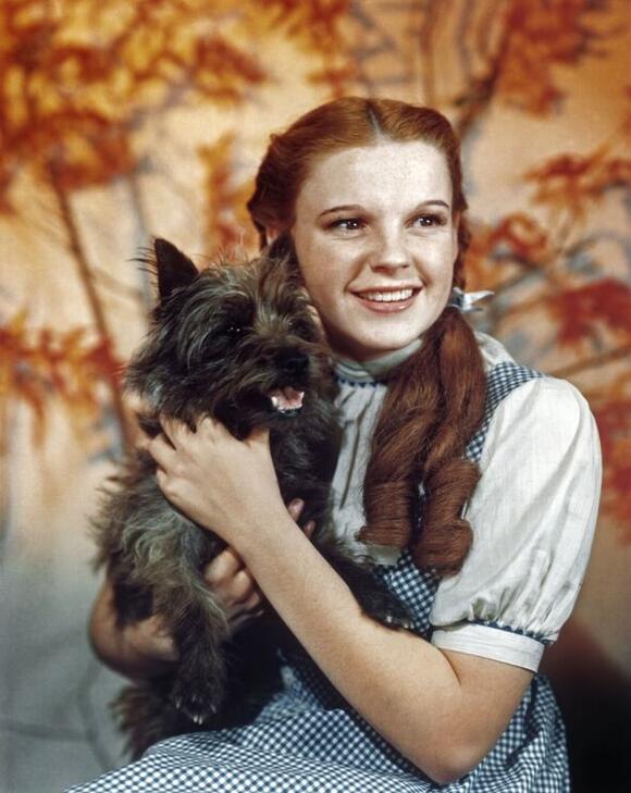 Judy Garland died penniless after racking up seven figure debt despite ...