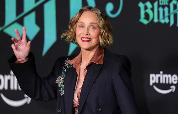 Sharon Stone Raises Eyebrows by Debuting New Look in L.A. After ...