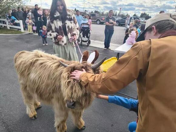 Mini Highland cows helped local woman cope with losing her dad and ...