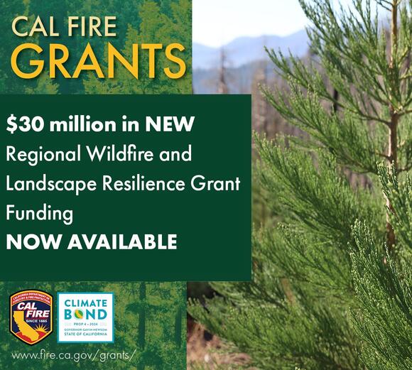 CAL FIRE opens $30M wildfire resilience grants - NewsBreak