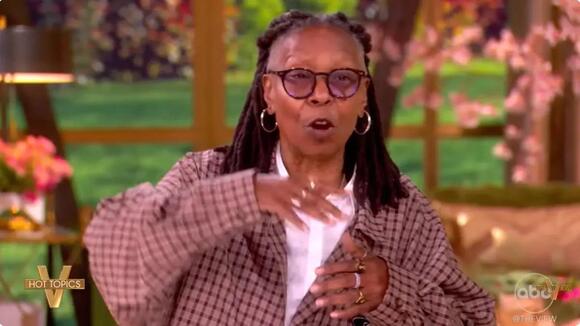 Whoopi Goldberg Shuts Down 'The View' Costar Sunny Hostin for Claiming ...
