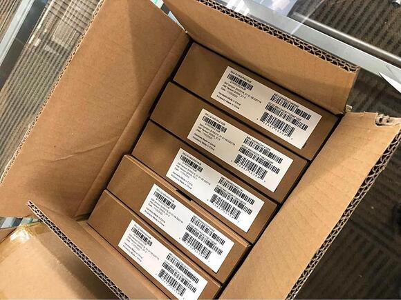 Grand Rapids’ “S-Curve Kitty” Is the Wholesome TikTok Star We All Need ...