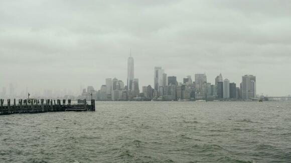 Surprising Marine Life Found Off New York’s Coast - NewsBreak