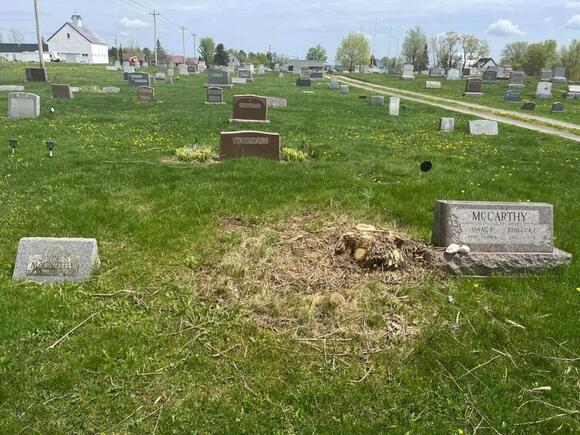 Families question Patten’s decision to chop down cemetery plants
