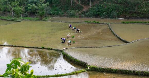 Trump's $1.5B Vietnam golf club displaces poor farmers - NewsBreak