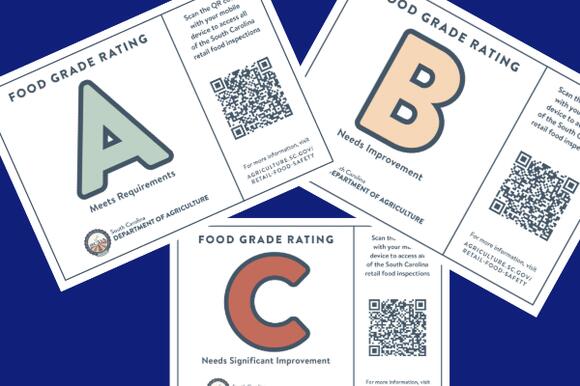 Health Inspections: Four York County Restaurants Receive B Ratings; One ...