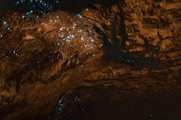 The World’s Most Alien Ecosystems Found in Caves and Deep-Sea Vents ...