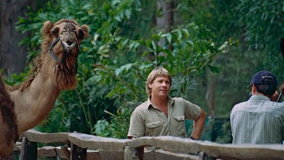 Crikey! Revisiting Steve Irwin’s Most Iconic Moments - NewsBreak