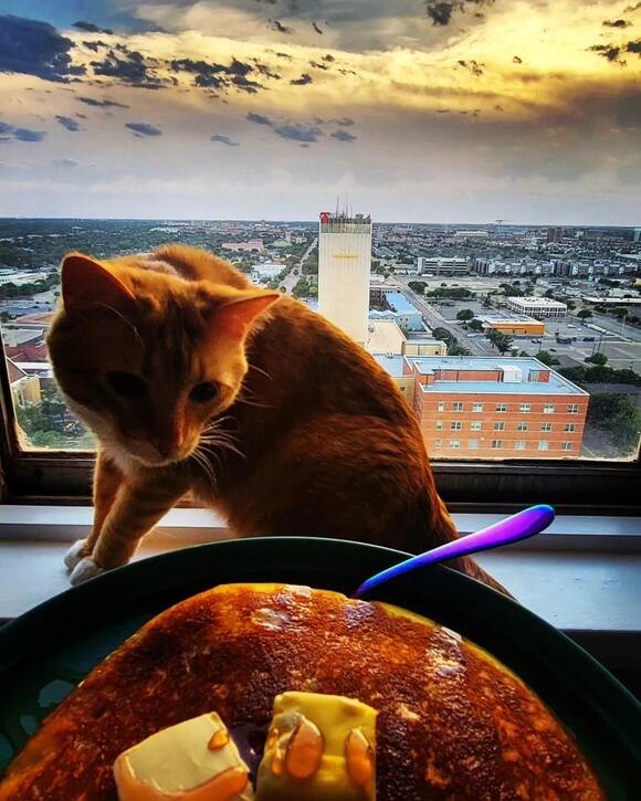 Why Lubbock’s Charm Lies In Its Simple, Everyday Moments - NewsBreak