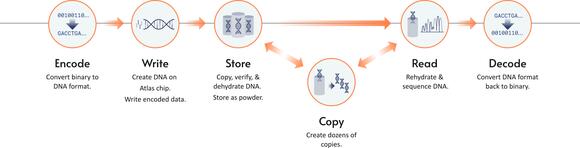 This new DNA storage system can fit 10 billion songs in a liter of ...