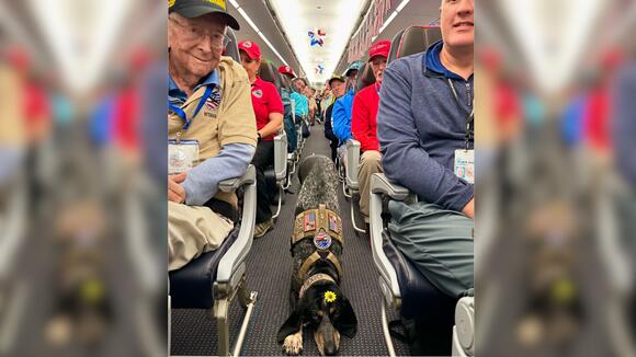 From TV to Real life, Dixie the Praying Dog is Melting Hearts in ...
