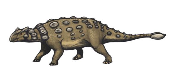 How Did Dinosaurs Hunt? New Evidence From Fossilized Tracks - NewsBreak