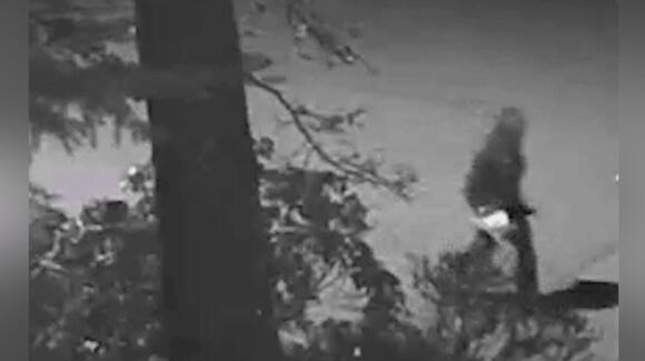 New details released in Lake Oswego shooting that damaged SAIF CEO’s ...