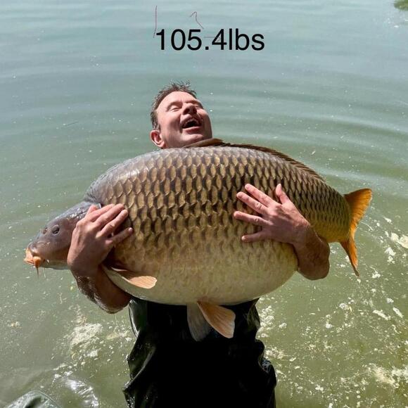 Angler catches world’s biggest carp weighing almost EIGHT STONE and is ...