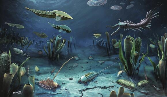 Just A Small Rise In Earth's Oxygen Levels Led To The Cambrian ...