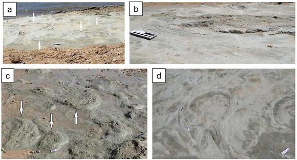 132 Million-Year-Old Dinosaur Tracks along South Africa’s Coastline are ...
