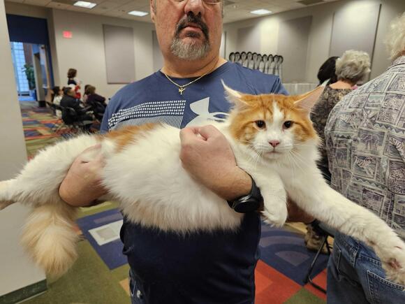 Akron’s Fun-Tastic Cat Show purr-fect for feline fanatics - NewsBreak