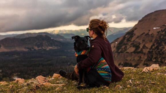 15 Small Signs Your Dog Is Holding On Just to Spend One More Day With ...