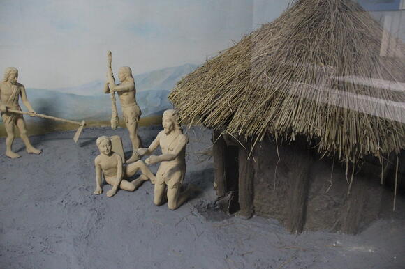 The Bog Bodies of Ireland: How Nature Perfectly Preserved Ancient ...