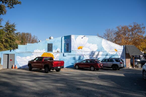 Beautiful New Mural Graces Downtown Lafayette, in Photos - NewsBreak