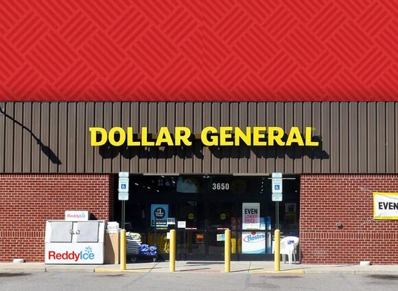 11 Best New Dollar General Home Decor Finds Flying Off Shelves Right ...
