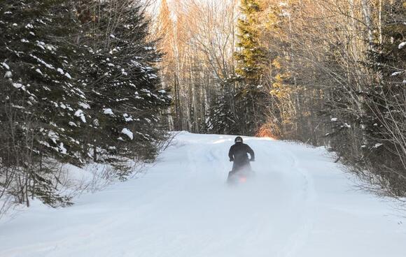 Northern Michigan man charged with fleeing and eluding on snowmobile ...