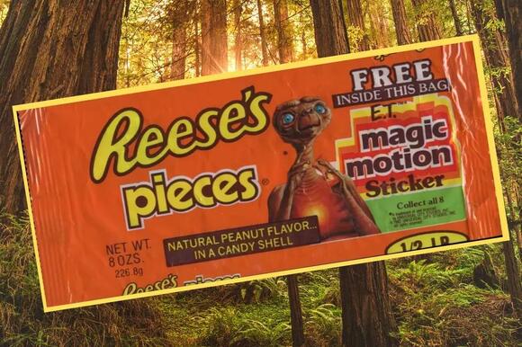 Are These Tasty Cocoa Mint Cookies Taking On Thin Mints? - NewsBreak