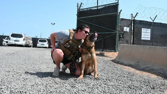 Which Zodiac Signs Make the Most Patient Dog Owners? - NewsBreak