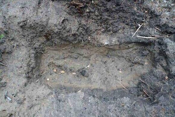 Picture of shallow forest grave that 'hero' dad forced pedophile to dig ...