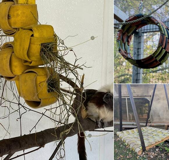 New England's Largest Zoo Makes Unusual Request to Fire Departments ...