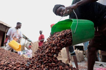 Exclusive-Ivory Coast to cut farmer cocoa price with earlier start of ...