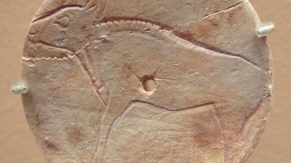 The Role of Bison in Native American Spiritual Traditions - NewsBreak