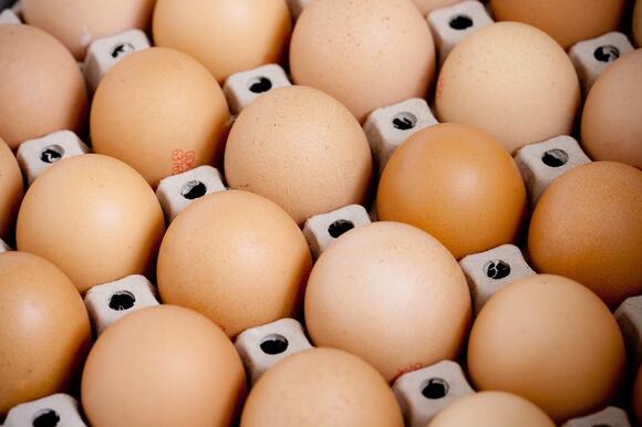 Florida egg price comparison - Walmart vs. Publix prices - NewsBreak