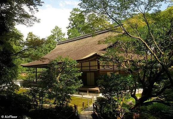 How Jolin Zhu went from University of Michigan student to wife of ...