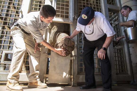13 Organizations Fighting to End Animal Testing - NewsBreak